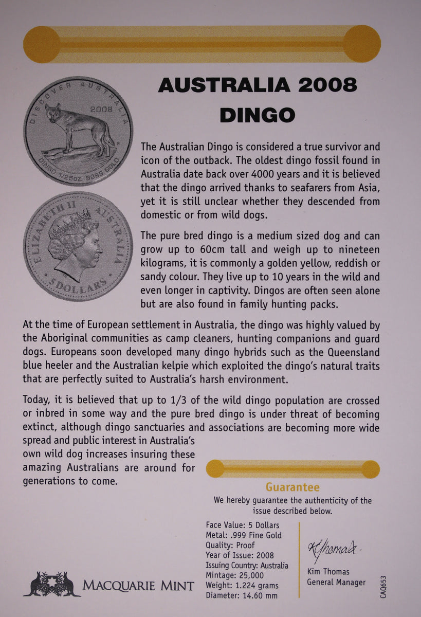 2008 Dingo 1/25oz Gold Proof Coin – Thompsons Coins