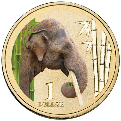 2012 $1 Animals of The Zoo Asian Elephant Coloured Uncirculated Coin o ...