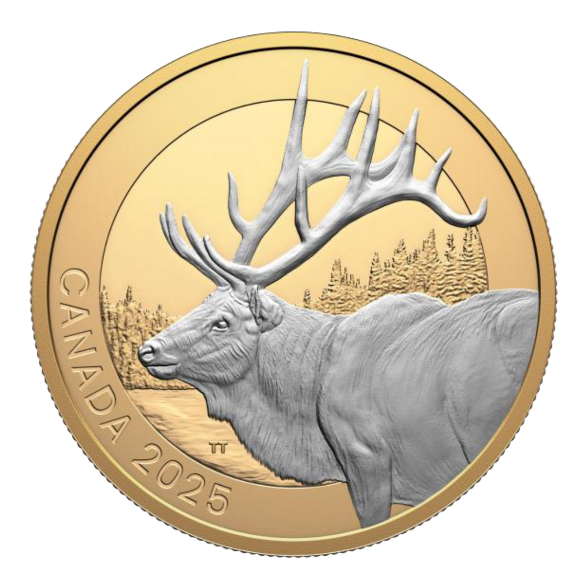 2025 $20 Fine Silver Coin - Animal Portraits: Elk – Thompsons Coins