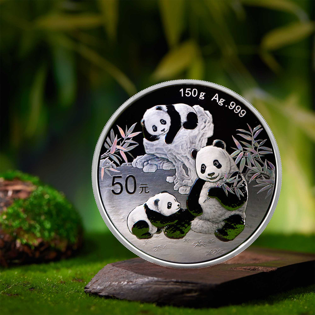 Chinese Panda 2025 150g Silver Proof Coin – Thompsons Coins