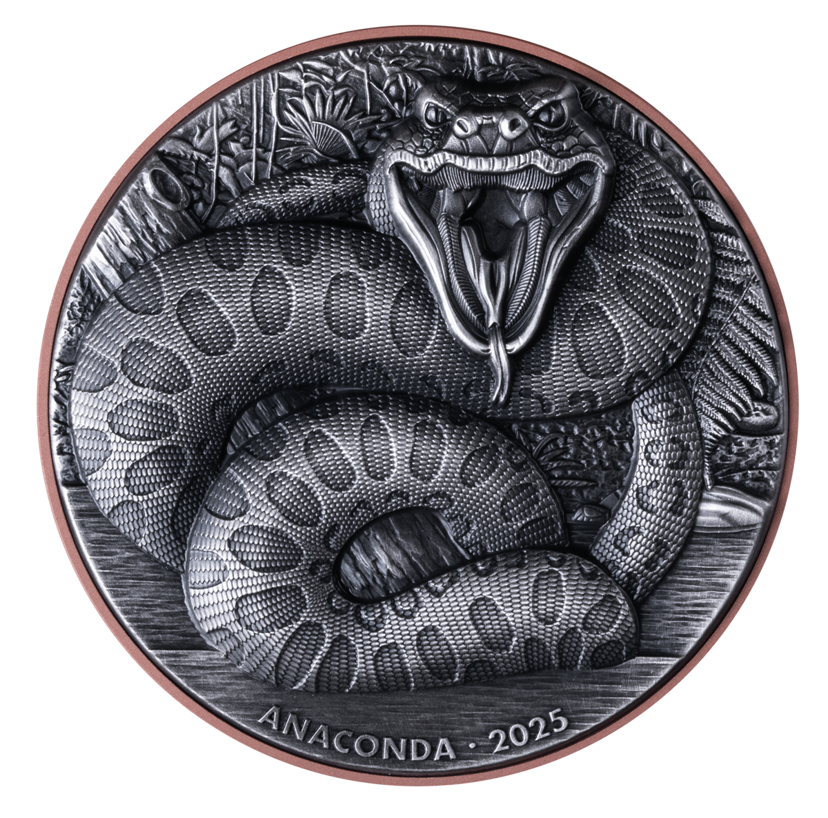 2025 Vanuatu Double Silver Giant Anaconda 10g Silver Coin – Thompsons Coins